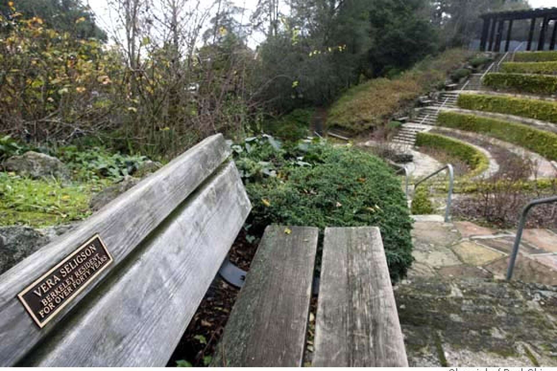 With a glut of memorial benches, Berkeley moves to limit seating