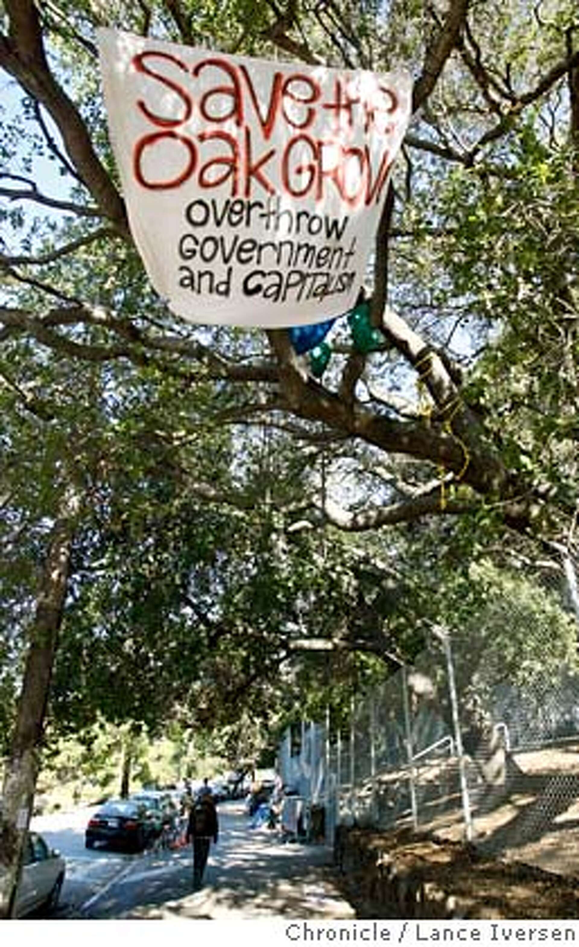 One year into protest, UC Berkeley's tree-sitters firmly planted