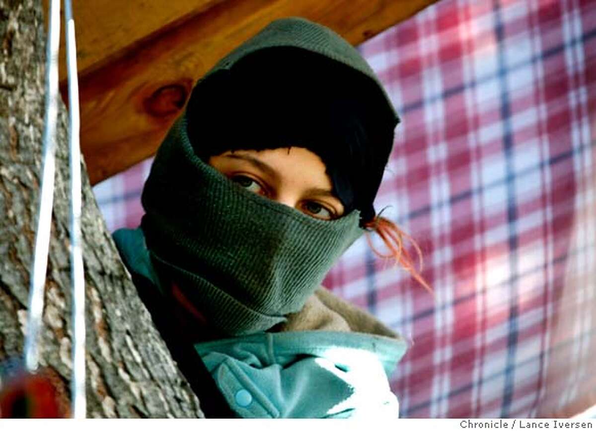 One year into protest, UC Berkeley's tree-sitters firmly planted