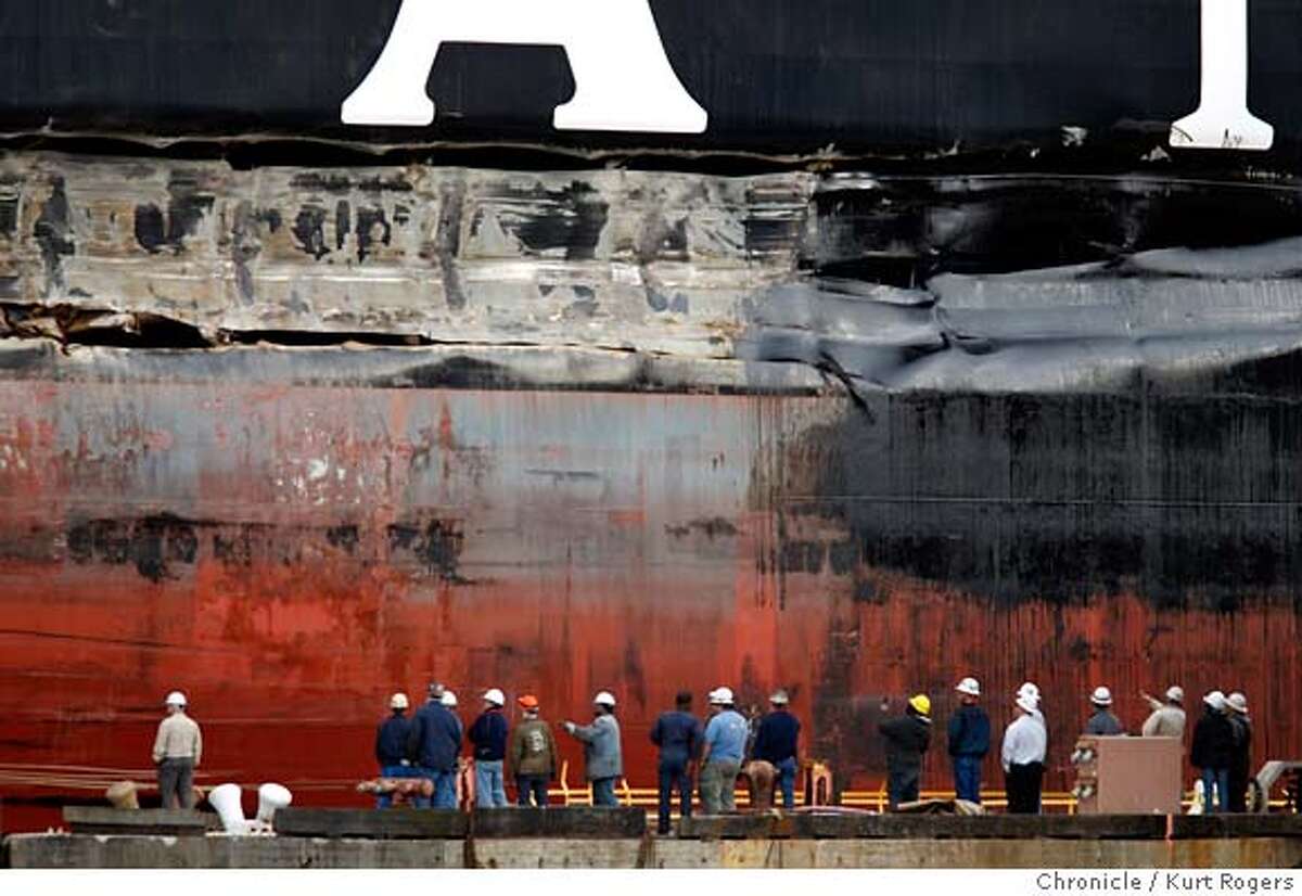 Bay beaches reopen; birds cleaned of oil to be released