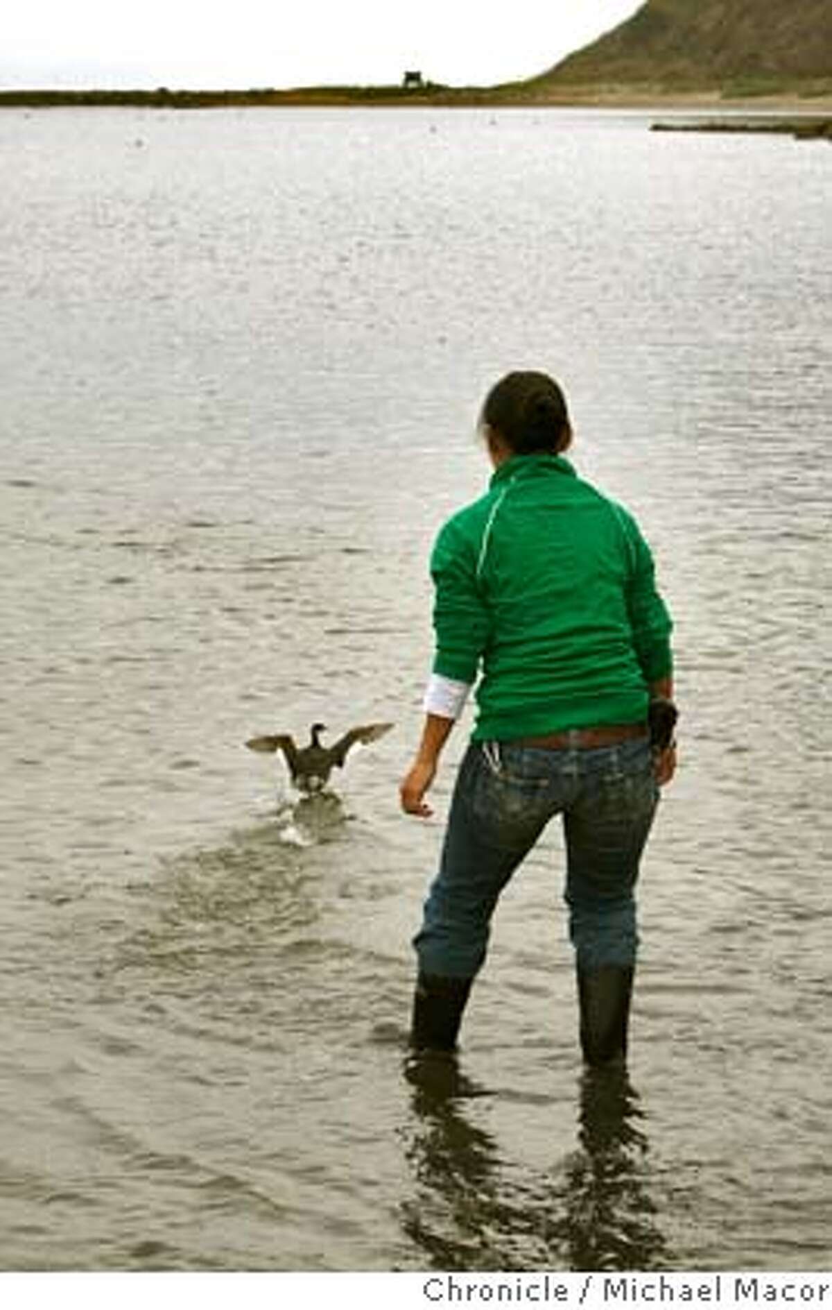 The first birds helped to survive the spill are released to the wild
