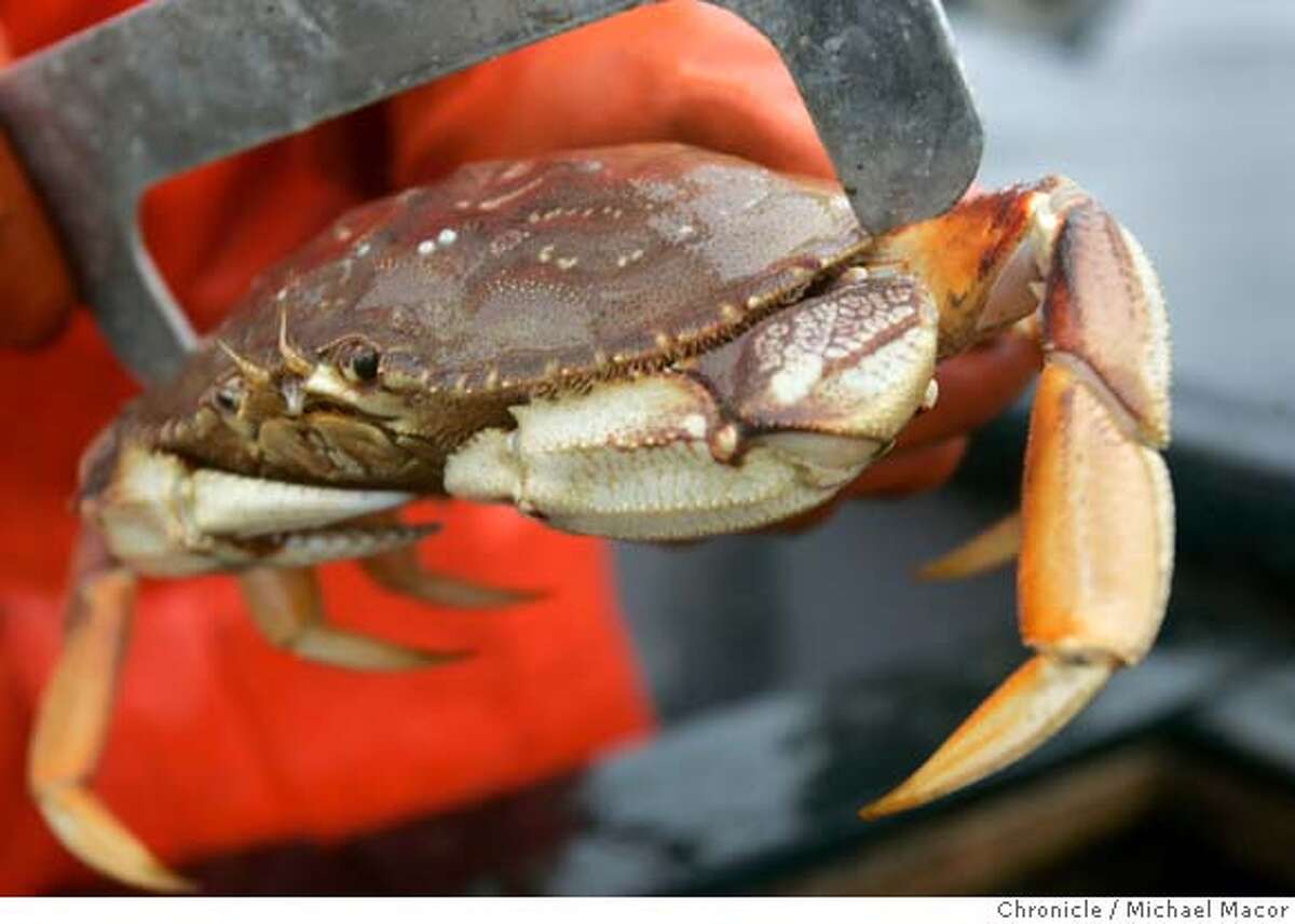 Crab grabs some air - harvest gets a slow start