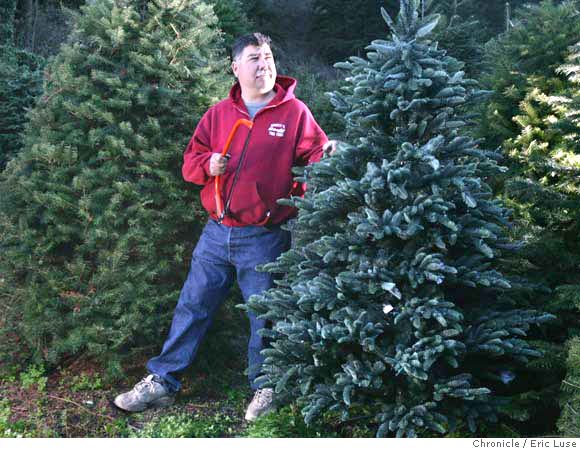 Real vs. fake: Which tree is greener?