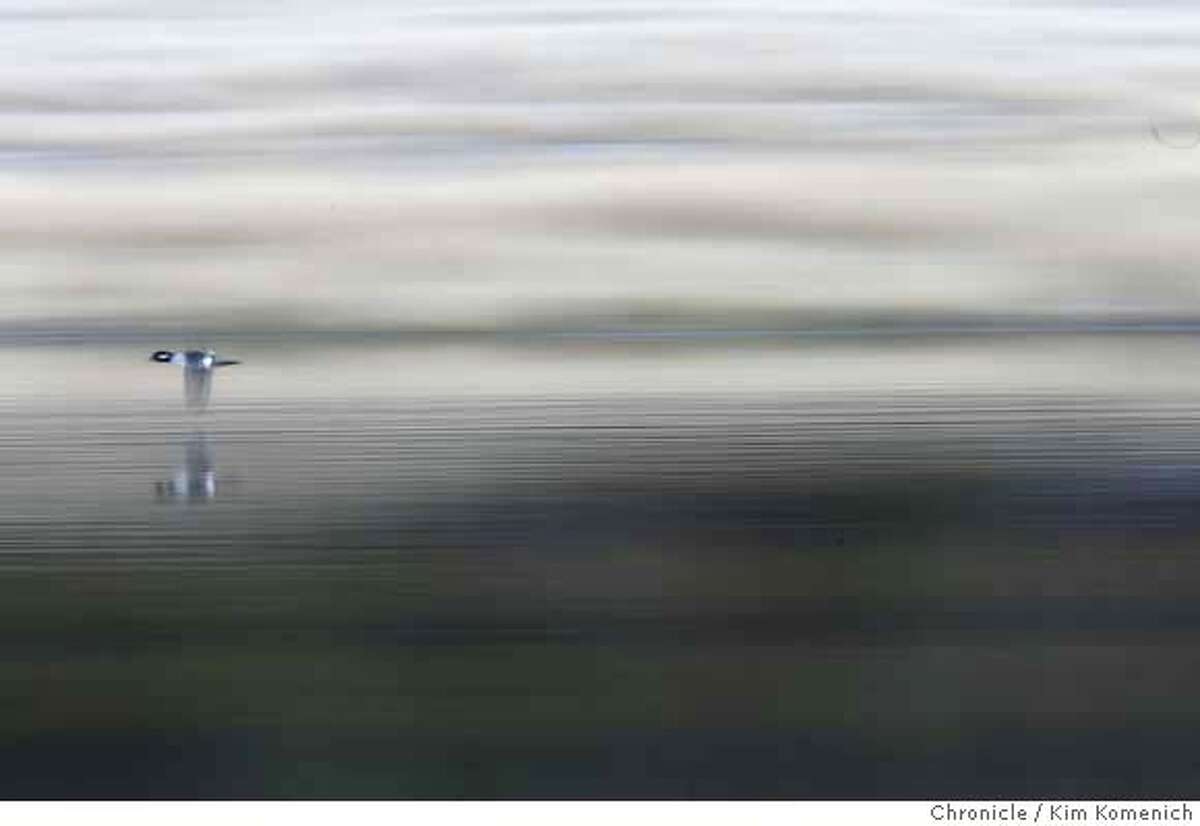 Waddle Ranch in the Sierra near Truckee is being preserved