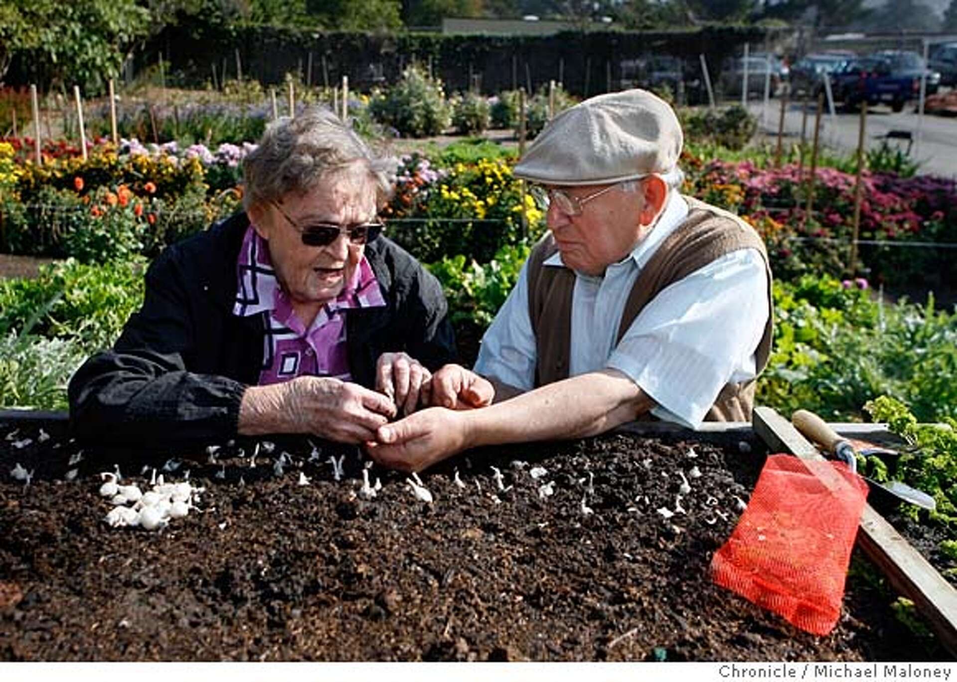 City program helps disabled gardeners develop an eye for vegetables