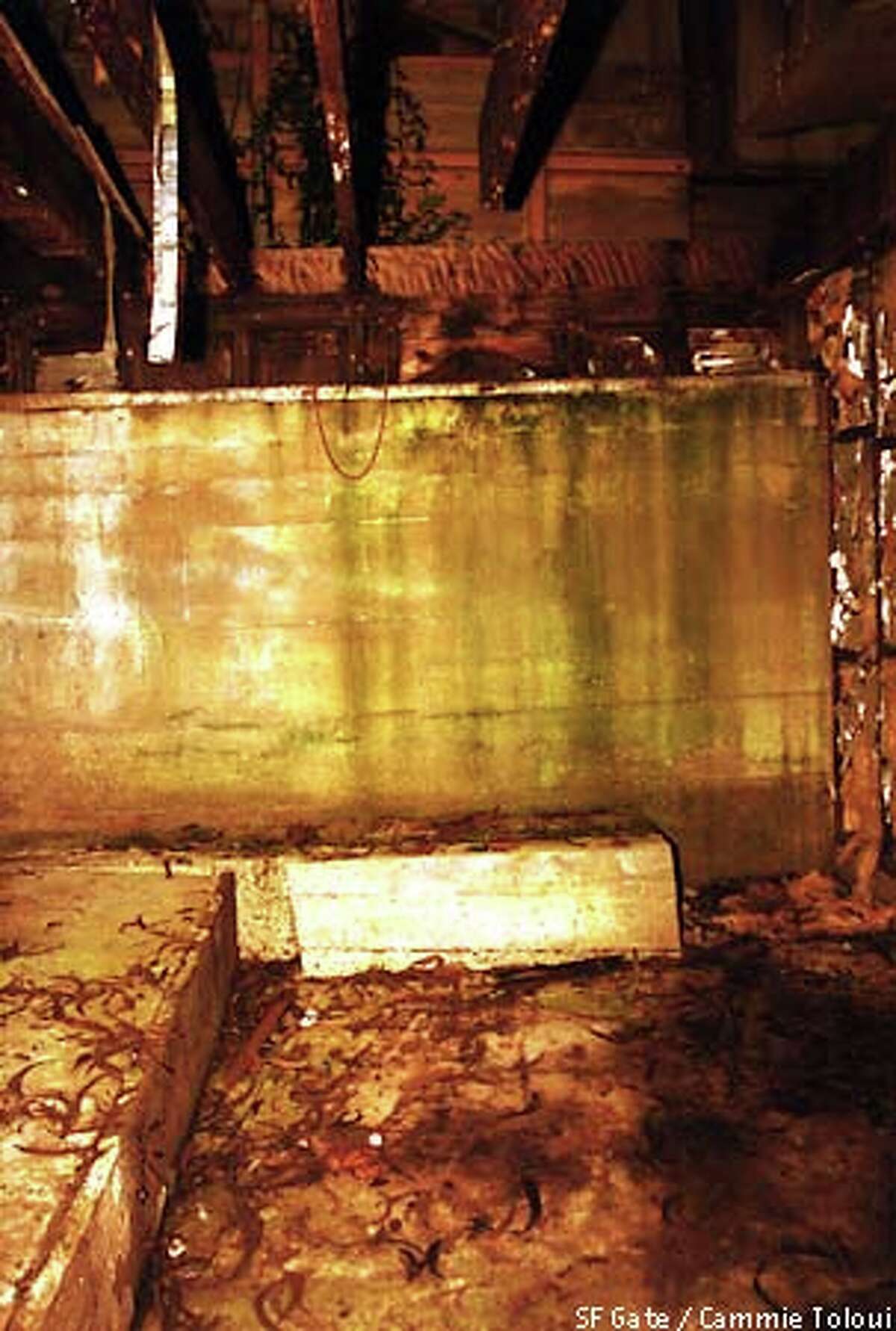 Murder House / How a house with "history" became a dream come true