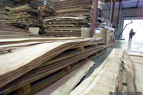 Sustainable Wood Is Taking Off / Forest advocate's project at SFO part ...