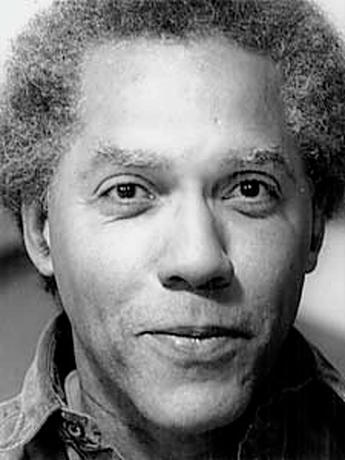 Carving Novel Images Of Black Experience / Sculptor Martin Puryear ...