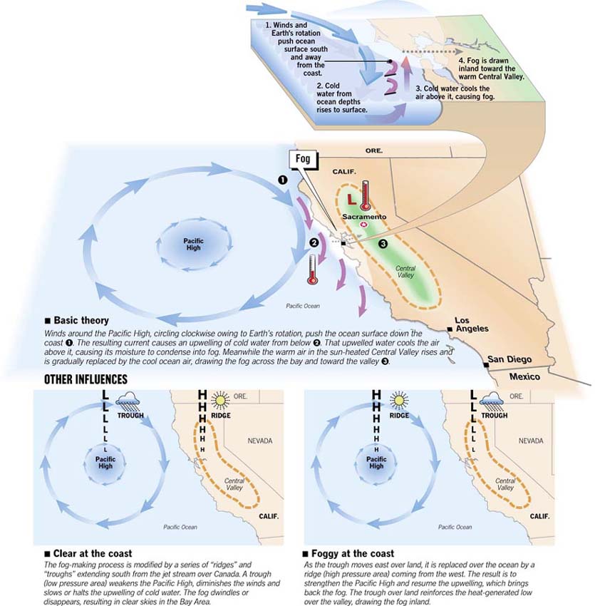 The Fog Is Clearing / New research fine-tunes our understanding of a ...