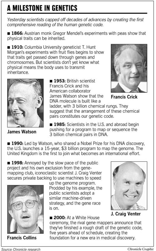 Scientists Crack Human Gene Code