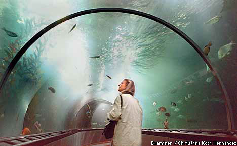 Rough sailing for aquarium