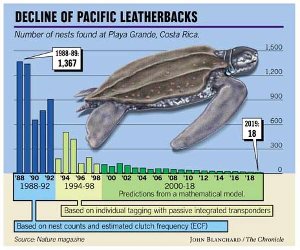 Commercial Fisheries Harm Turtle Species / Leatherbacks near extinction ...