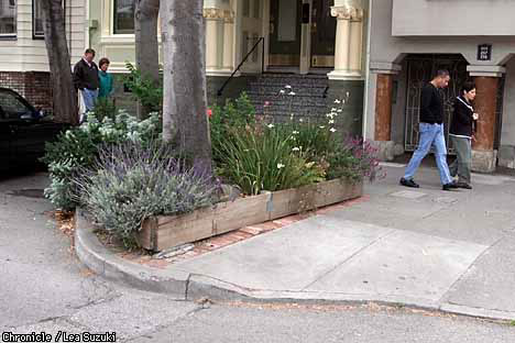 Catchy Slogans Help In Safe-Streets Campaigns