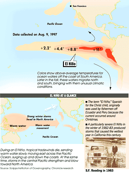 Devastating El Nino Forecast Scientists Fear Ecosystem Chaos