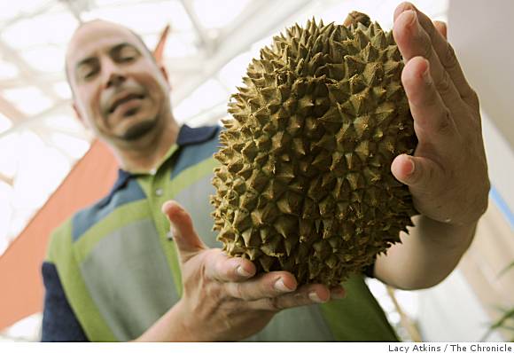 Exotic fruit plants show in Golden Gate Park