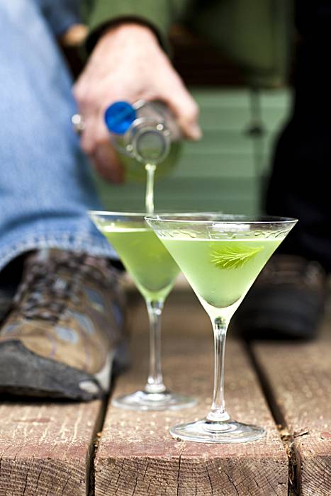 Spruce up holiday cocktails with evergreen tips