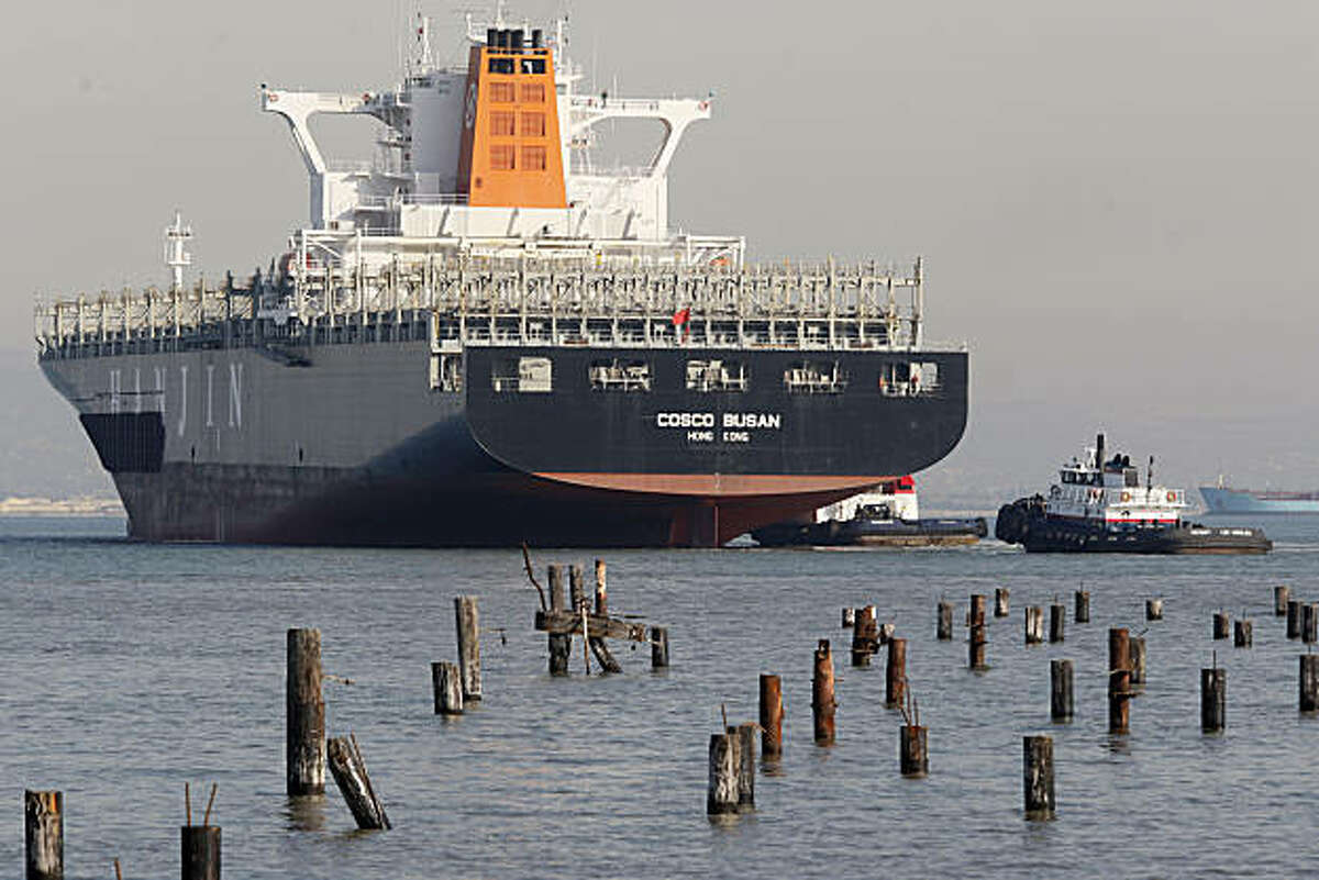 BP oil spill, Cosco Busan oyster study