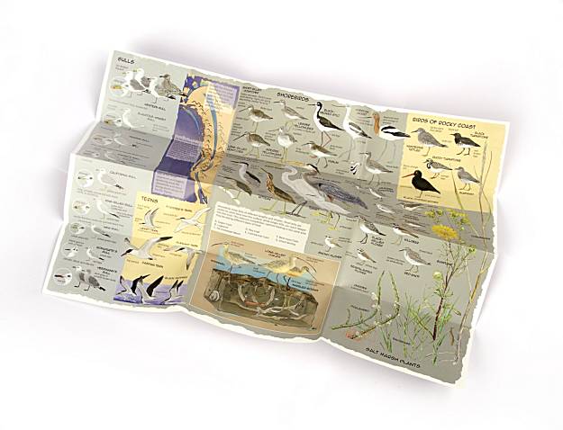 A field guide to field guides