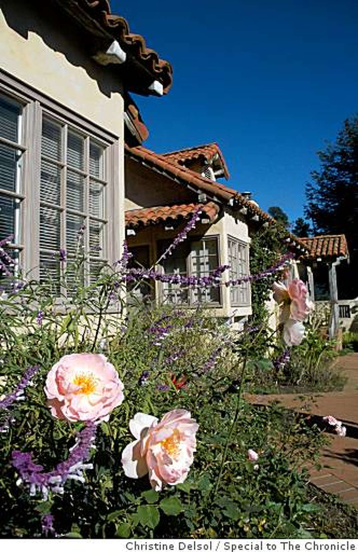 Carmel's courtyards - hidden highlights