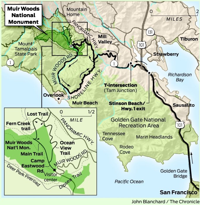 A drive along Muir Woods loop