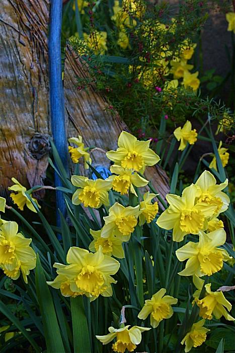 A quick primer all about bulbs