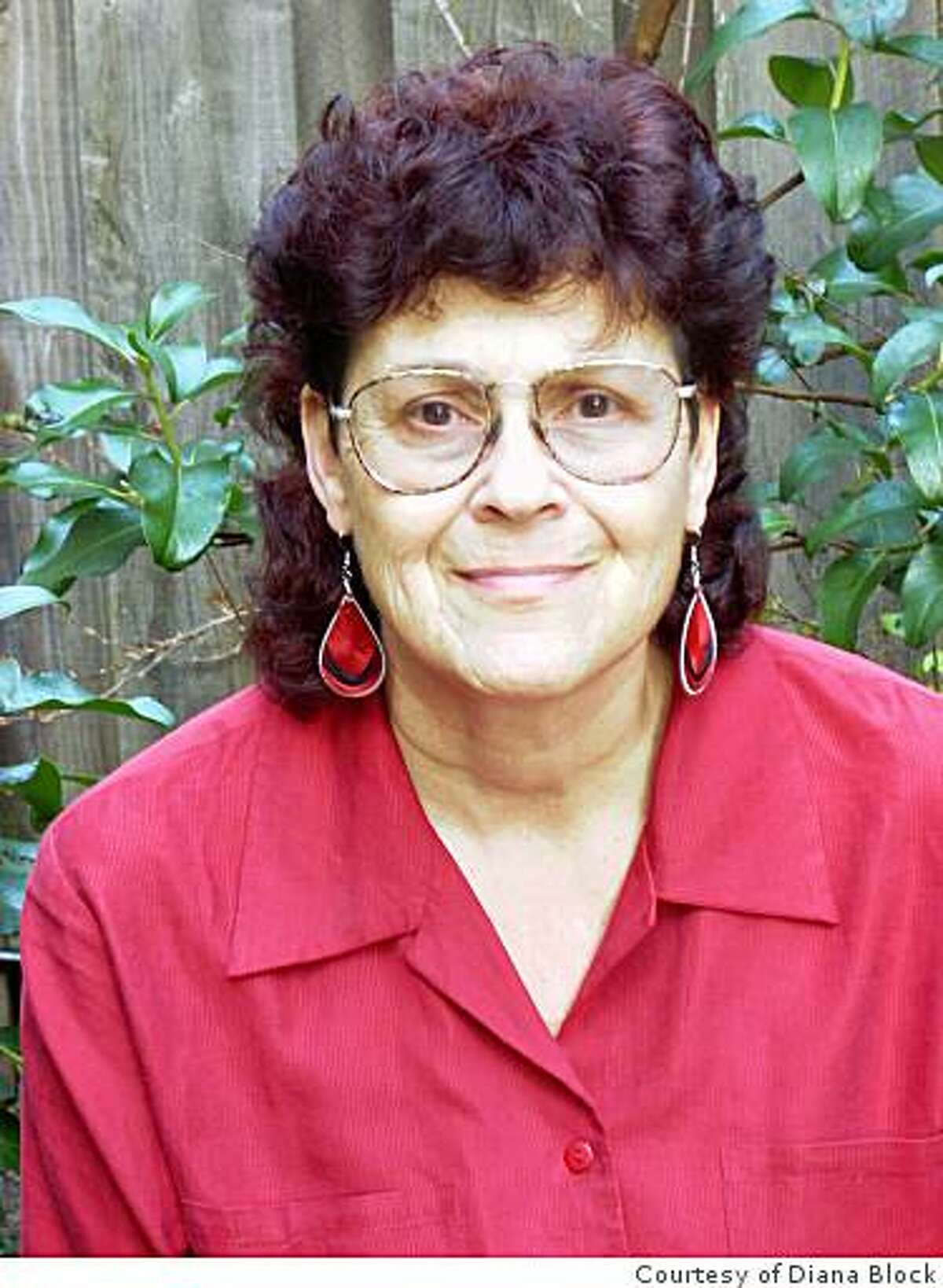 Diana Block: Activist's memoir of life underground