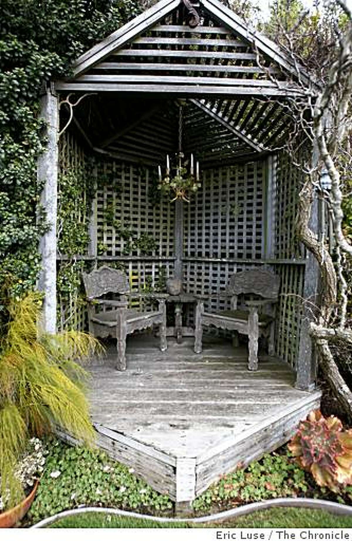 Terraced backyard full of surprises