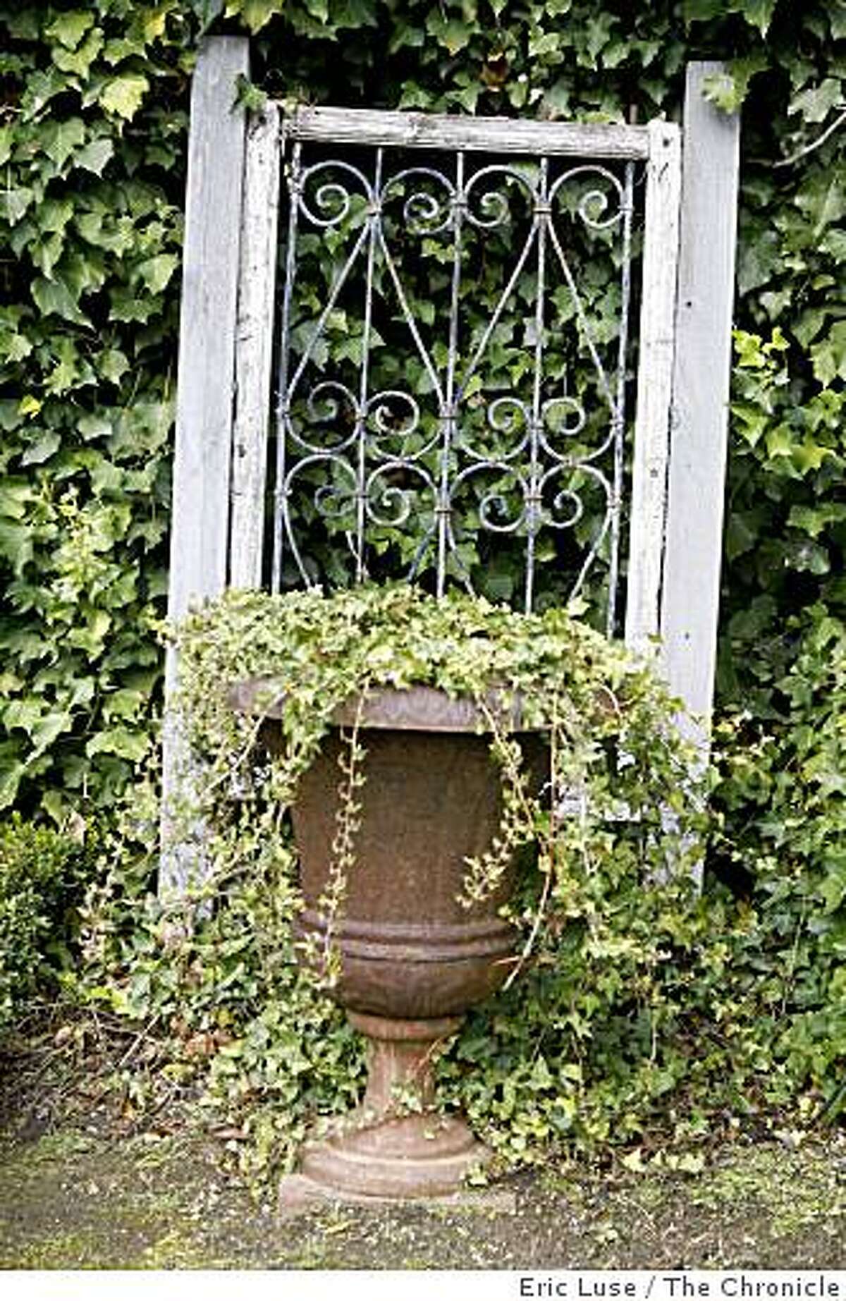 Terraced backyard full of surprises