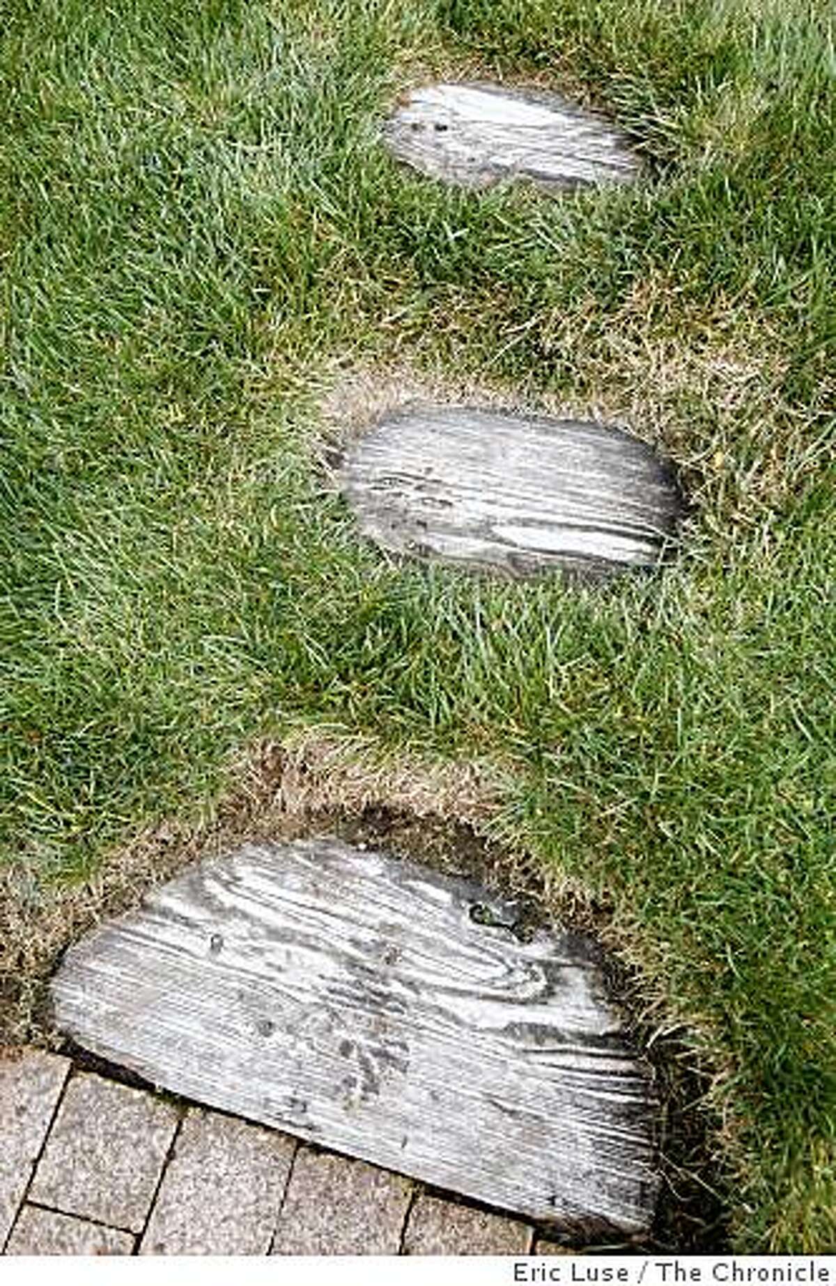 Terraced backyard full of surprises