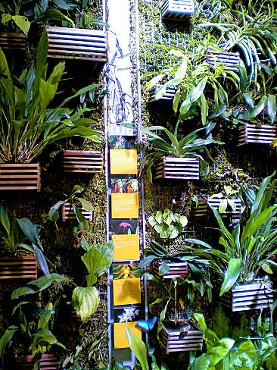 The sky's the limit with vertical gardens