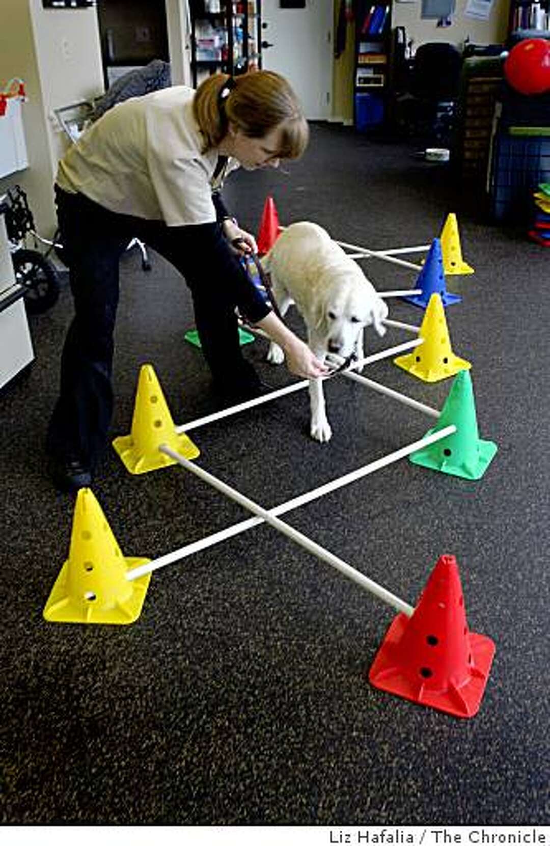 Pet therapy center tames dogs of recession