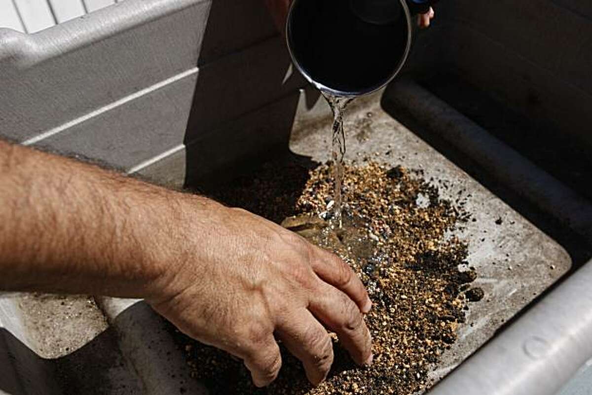 Seed balls - lob one, let nature take its course