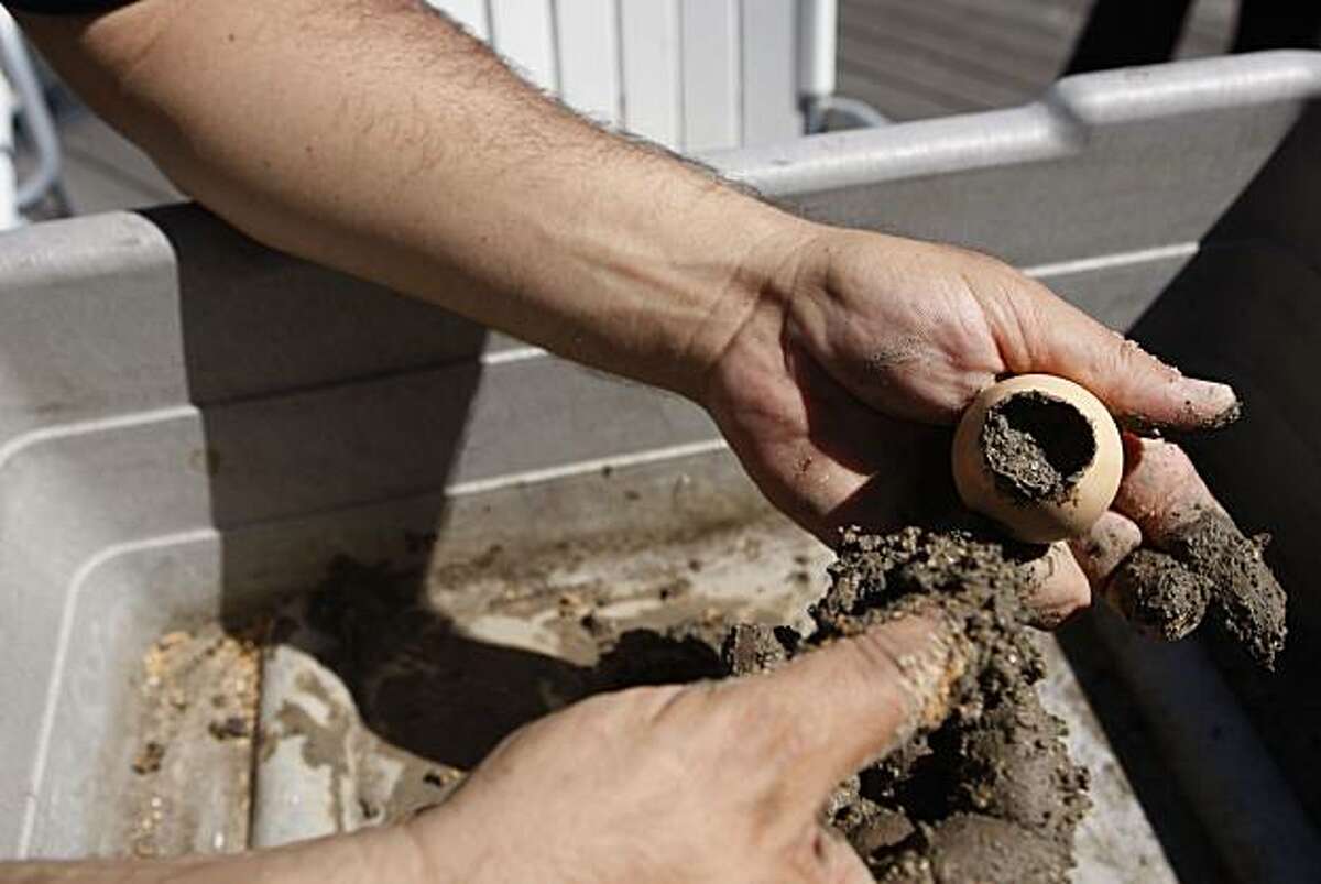 Seed balls - lob one, let nature take its course