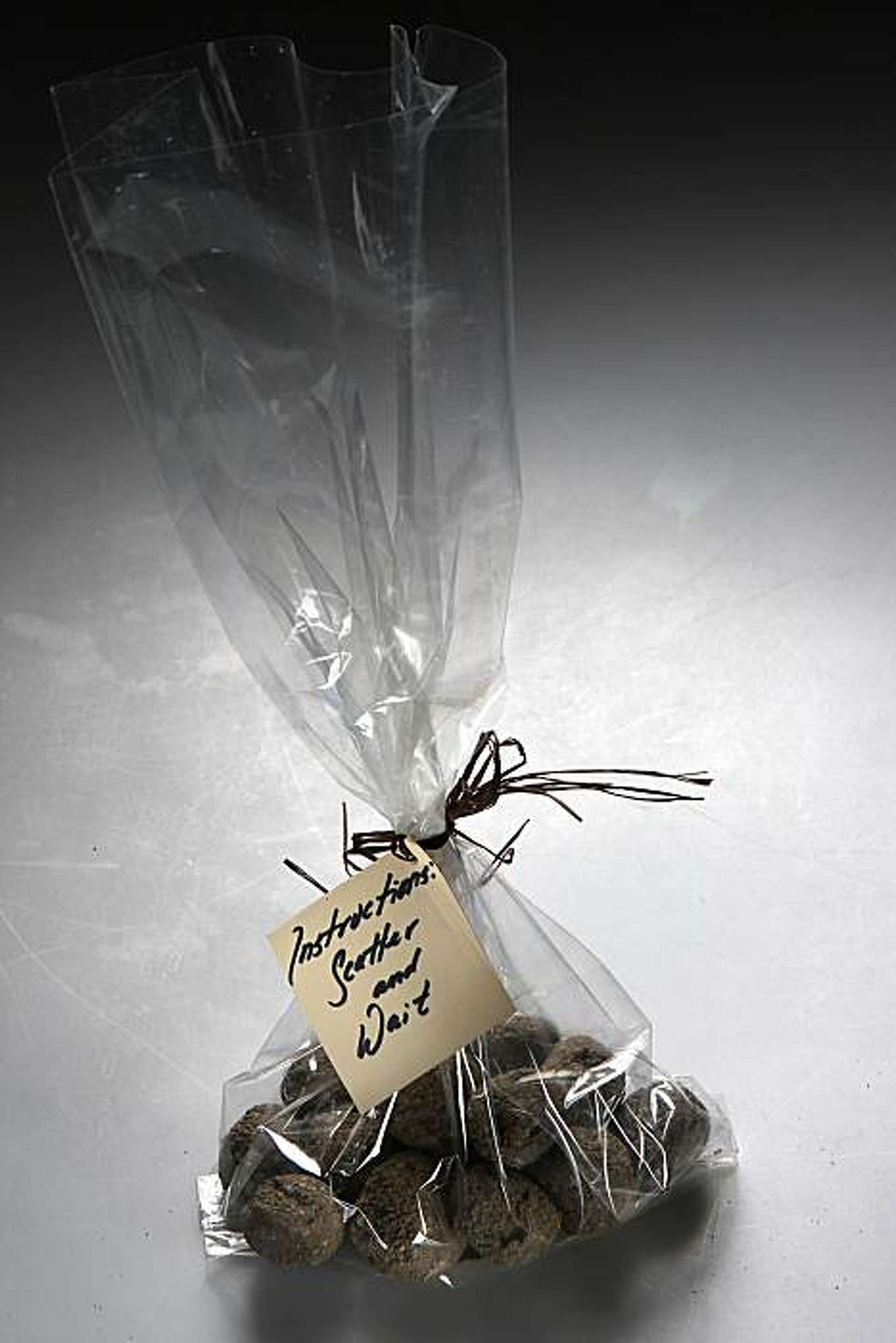 Seed balls - lob one, let nature take its course