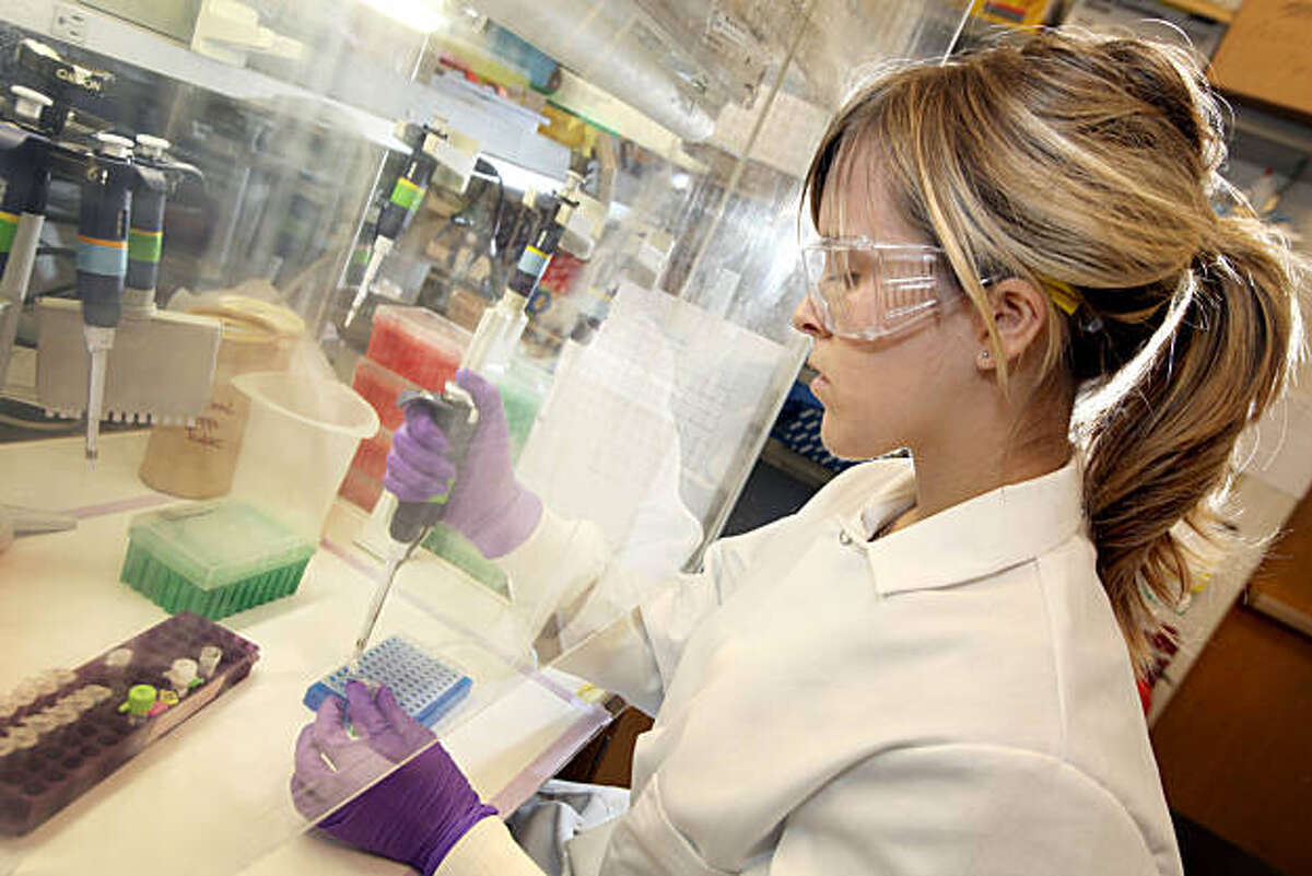 Sudden oak death: Plotting trail, testing leaves