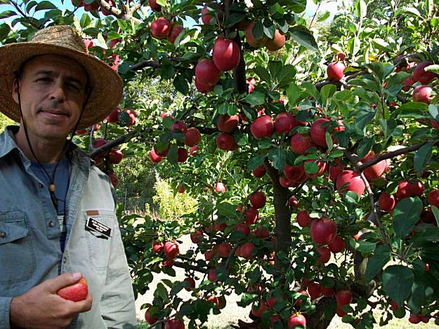 Taste rare heirloom apples at Filoli festival
