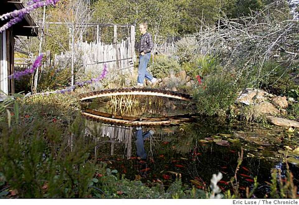 At home with mushroom collector David Arora
