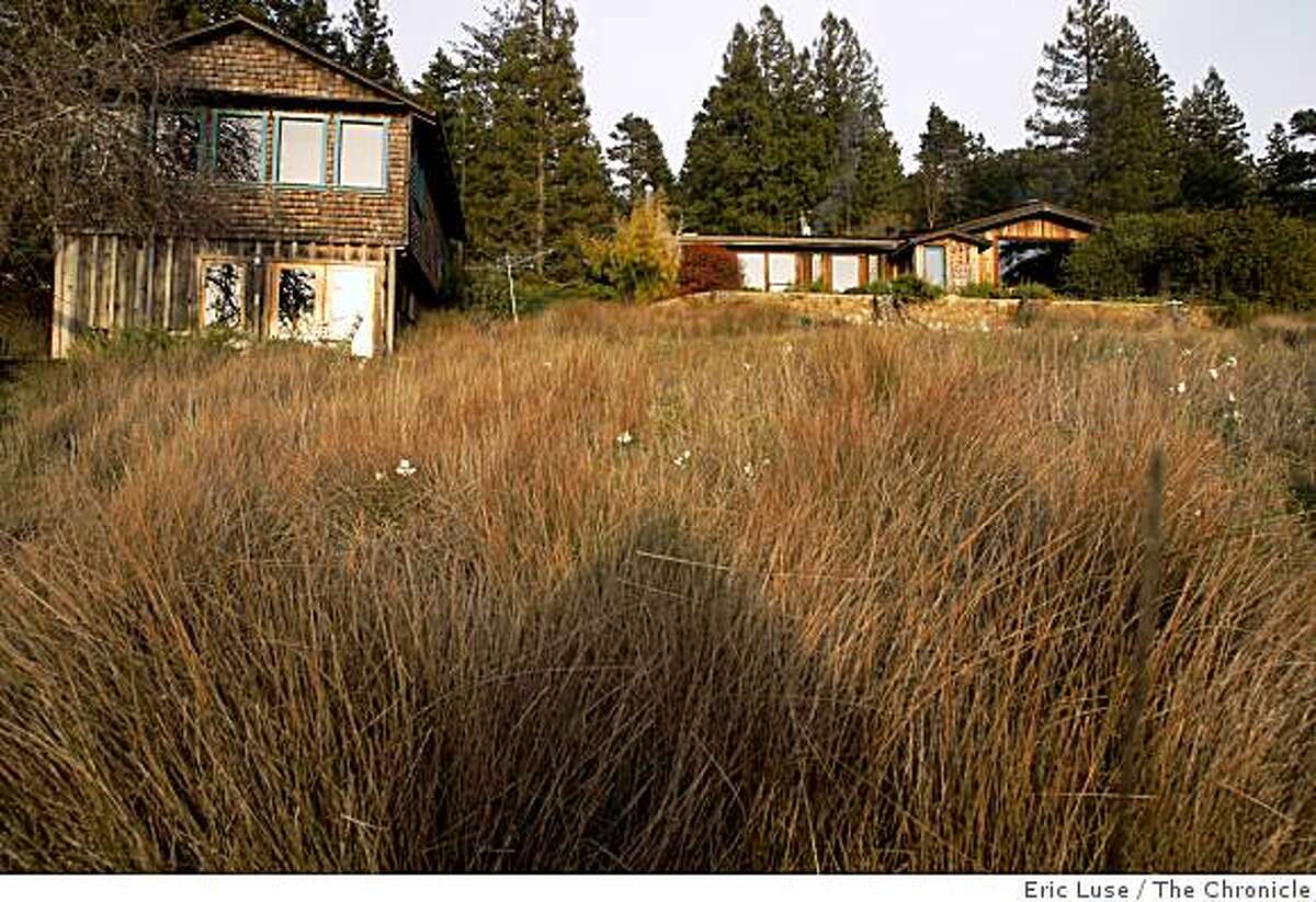 At home with mushroom collector David Arora