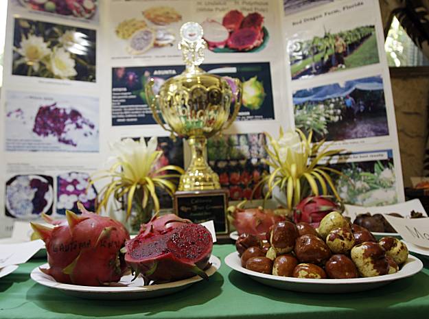 Annual Festival of Fruit goes for the exotic