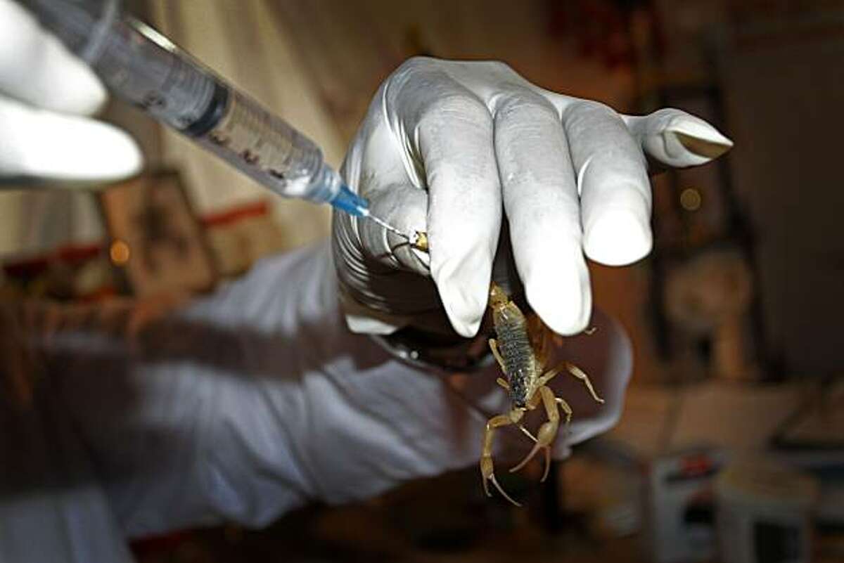 Homeopathic cures give hope in Afghanistan