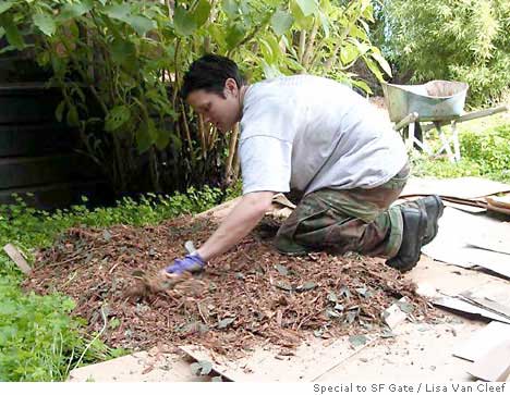 Sheet Mulching / Quick, easy, non-toxic weed control