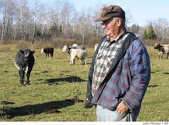 Poachers kill Michigan's protected wolves