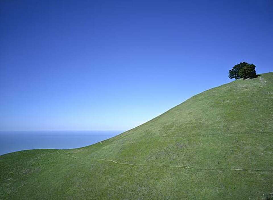 Landscape is the home: David Stark Wilson