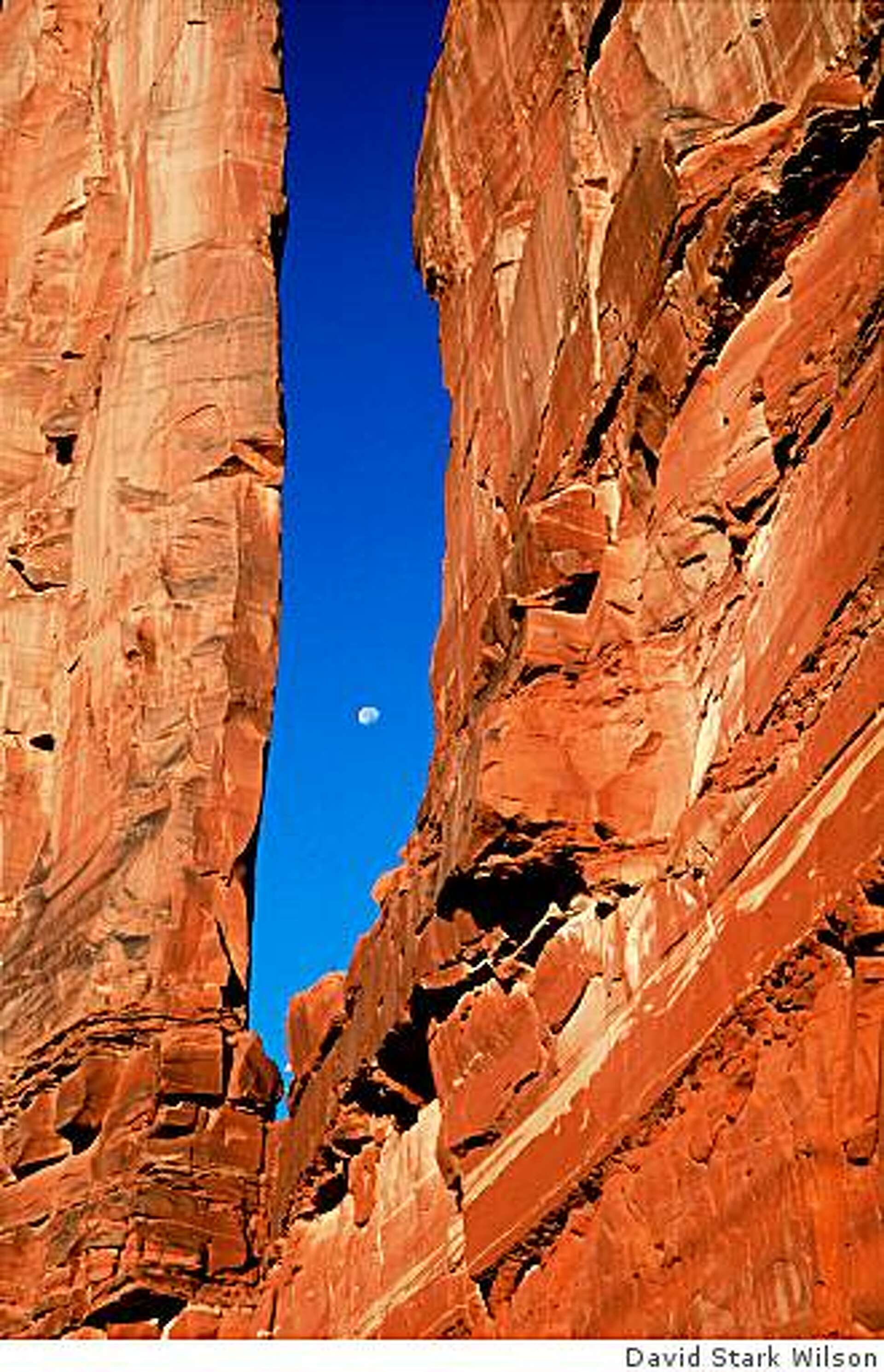 Landscape is the home: David Stark Wilson