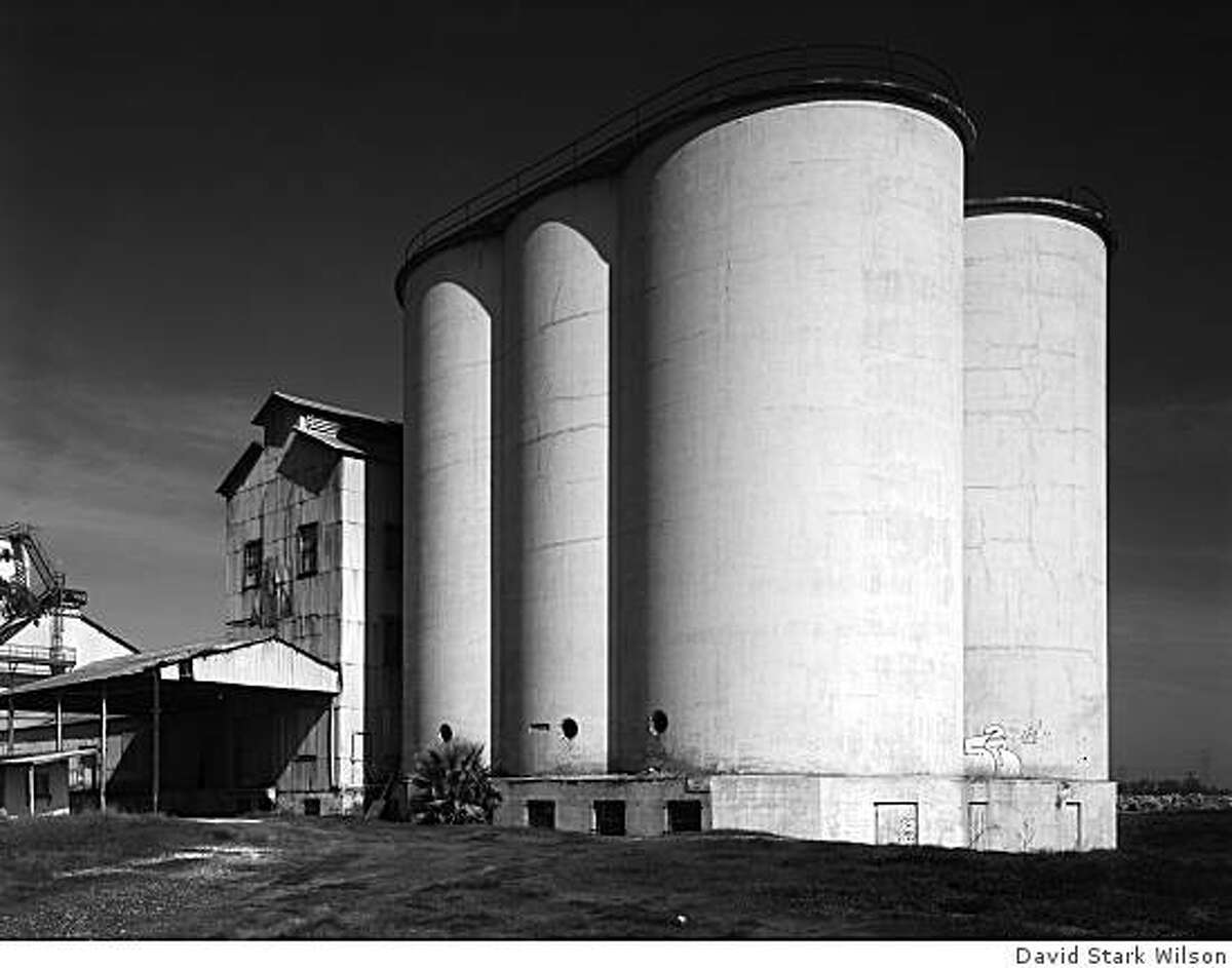 Landscape is the home: David Stark Wilson