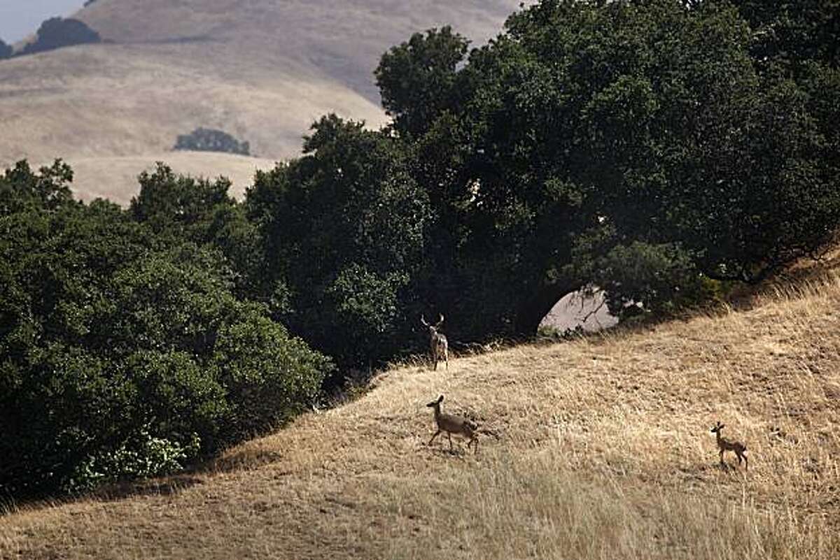 Hercules gift helps preserve Franklin Canyon
