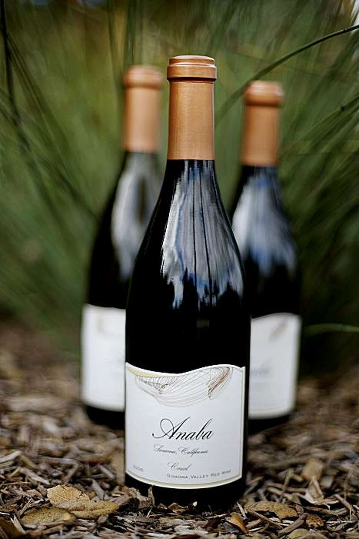 Wines all over the map in Sonoma County