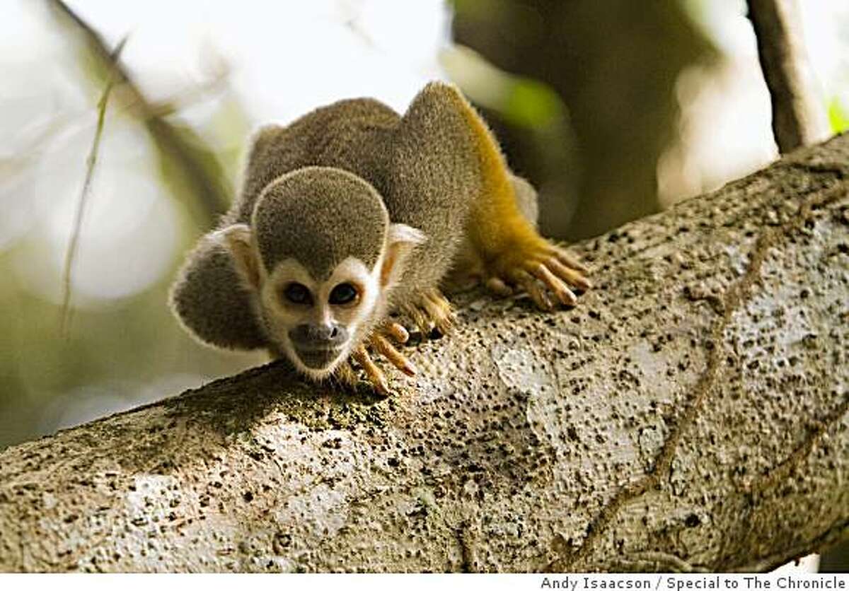 Visiting Maroon village in the Suriname jungle