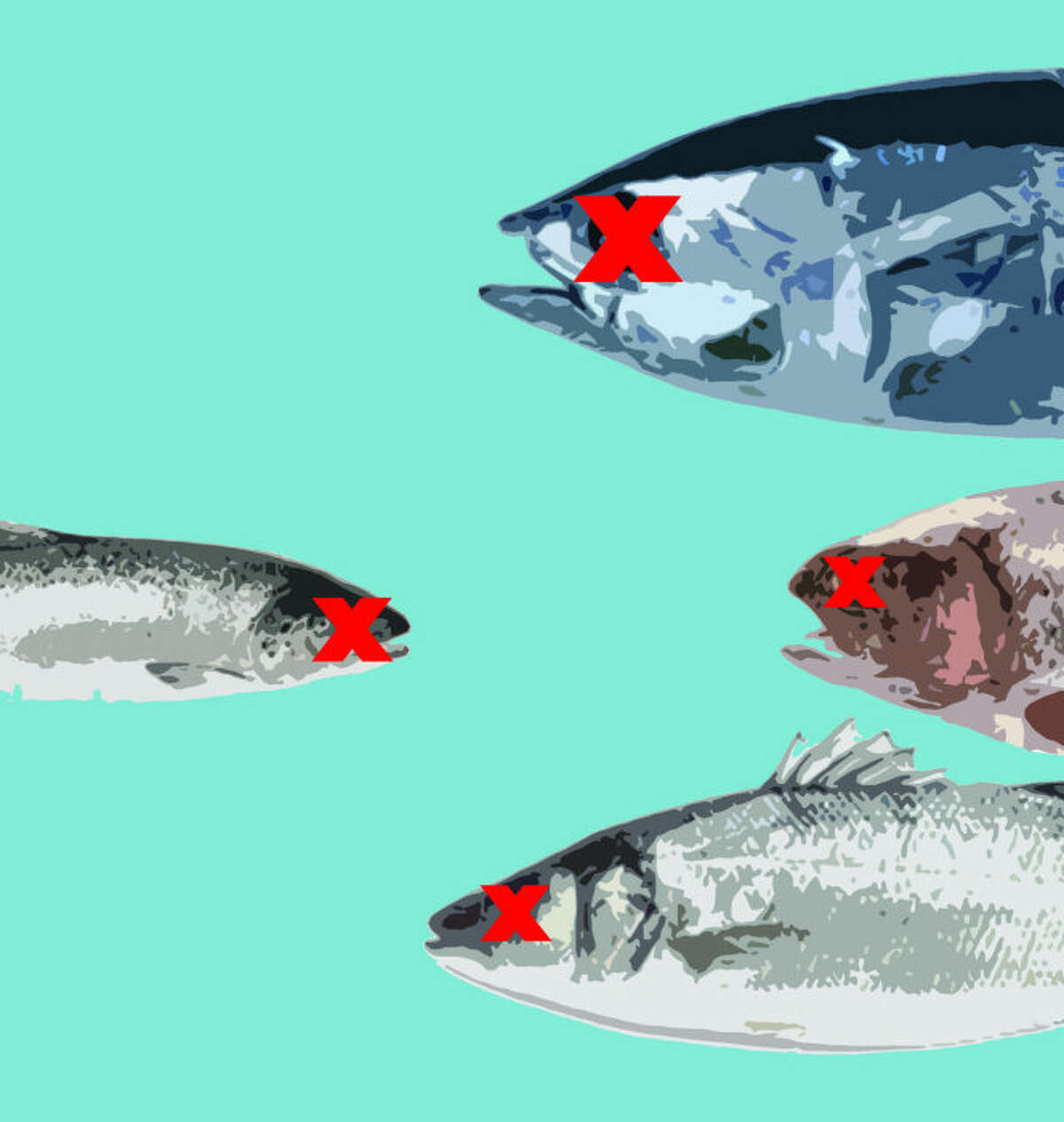 'Four Fish,' by Paul Greenberg