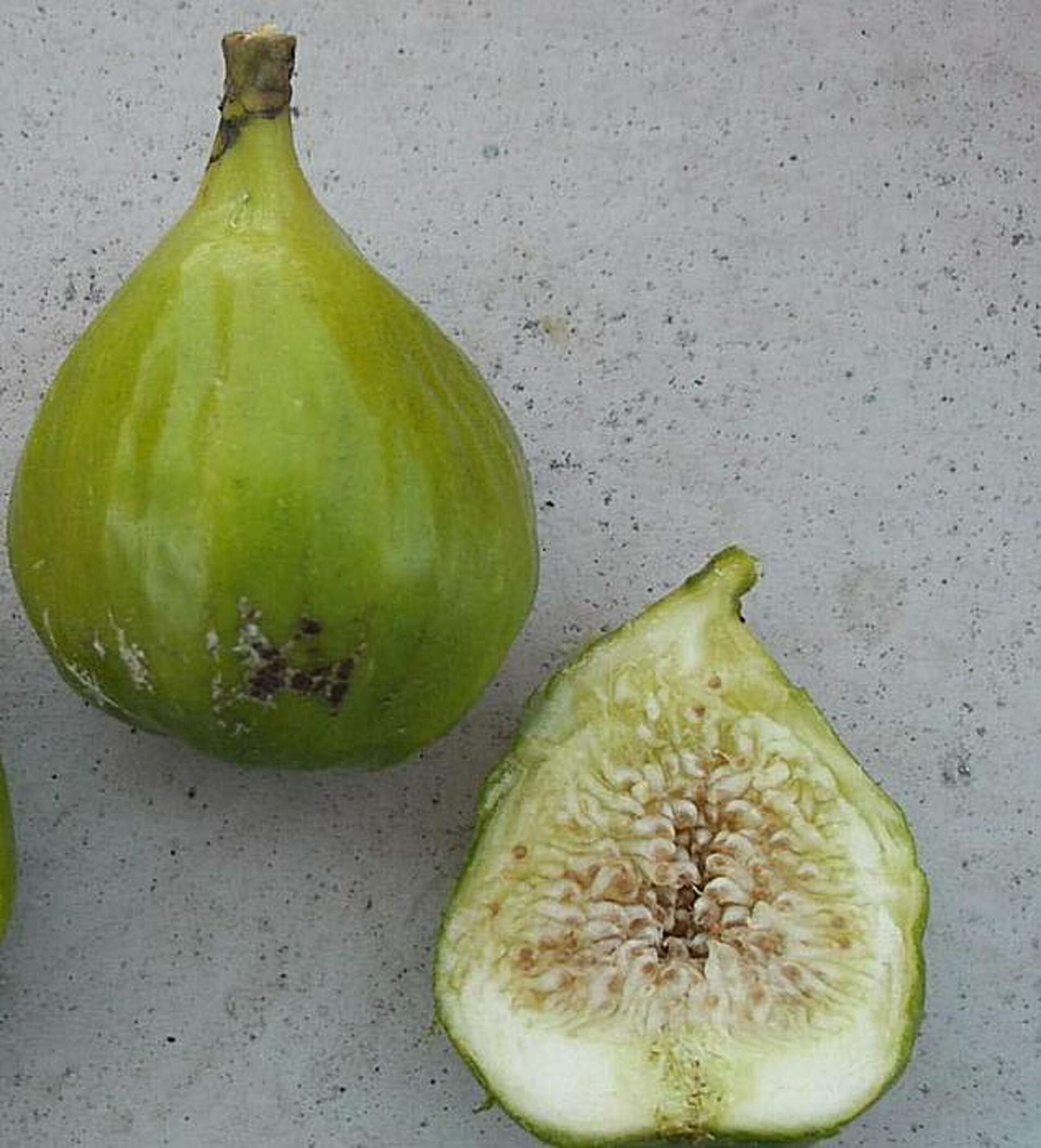 Hot figs to grow in cool places